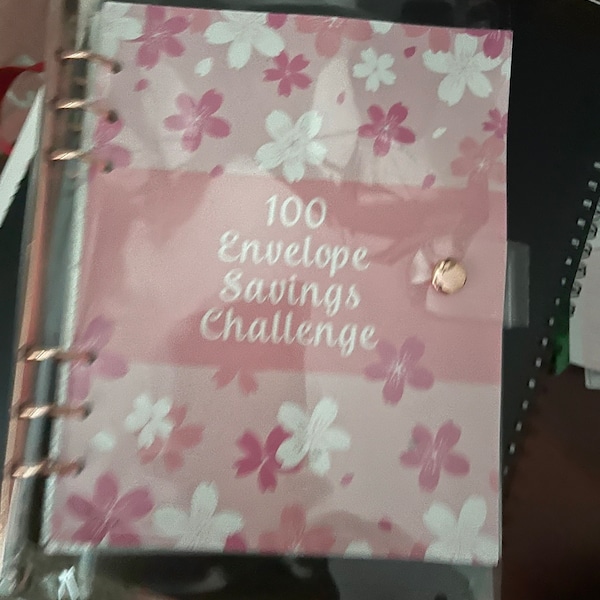 100 Envelope Challenge Clear Transparent Binder Saving Money Funds to ...