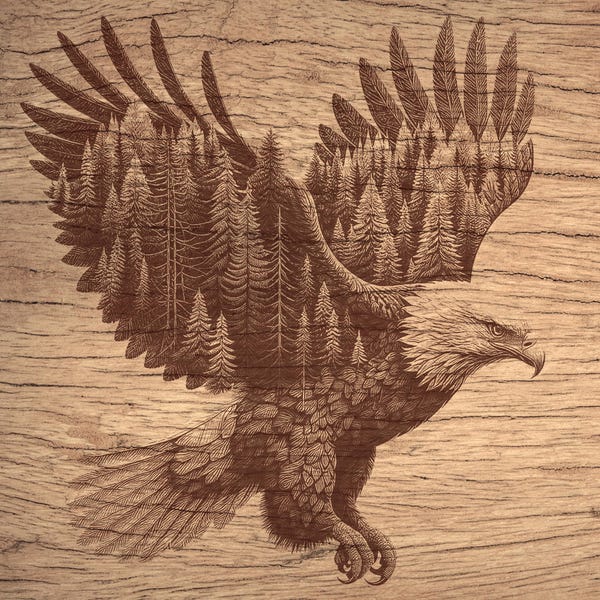 Eagle With Forest Wings Laser Cut File (png, Svg, Dxf, Ai) (digital ...