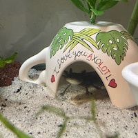 Small Quirky Gecko Dishes - Etsy