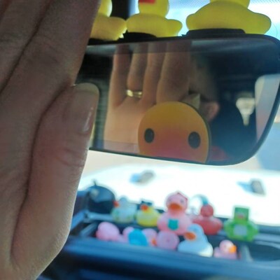 Duck Peeker Rear View Mirror/sun Visor Decal - Etsy