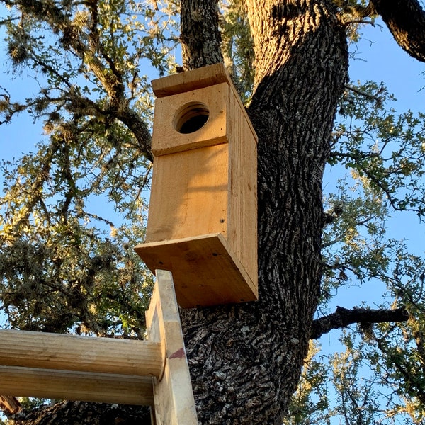 Owl Nesting Box Handmade - Etsy