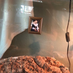 Boston Terrier Fridge Magnet Miss Rascal Whimsical Dog | Etsy