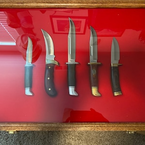 3 Pack of Riker Display Cases 12 X 16 X 3/4 for Collectibles Jewelry ...