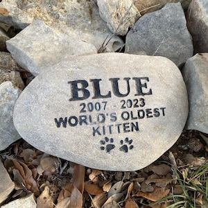 Family Tree Written in Stone Custom Carved River Rock Garden Decoration ...