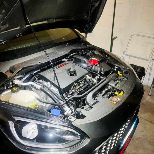 Upright Sticker Fiesta MK8 - Etsy