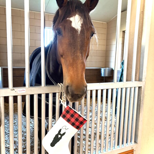 Editable Stable Stall Card Template With Logo and Photo Customizable ...