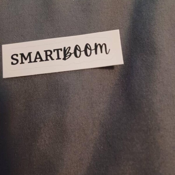 Bboogyuli Seungkwan Miniteen Sticker, Seventeen Fandom, Carat Fan ...