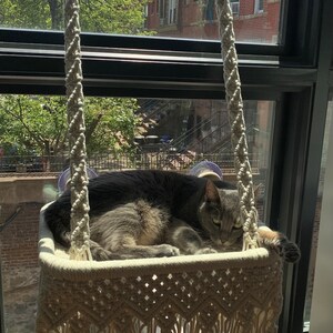 Cat Window Perch Macrame Cat Hammock Window Cat Seat Window Mounted Cat ...