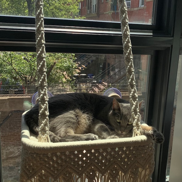 Cat Window Perch Macrame Cat Hammock Window Cat Seat Window Mounted Cat ...