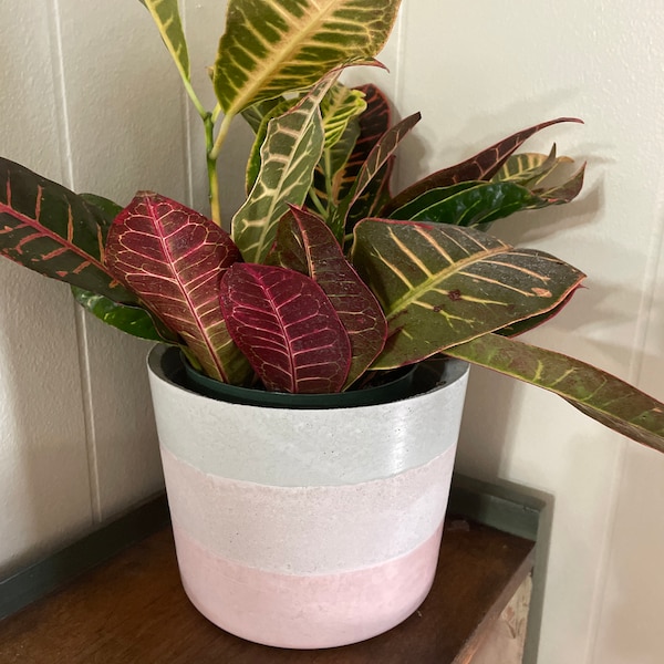 8 Inch Pot - Pink Pot - Pink Planter - Large Planter - Planter Pot ...