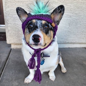 Corgi Beanie Dog Beanie Corgi Hats Dog Hat Dog Beanie - Etsy