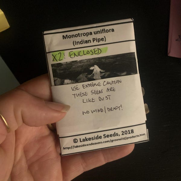 Monotropa Uniflora (ghost Plant, Indian Pipe), 30 Seeds, Perennial - Etsy