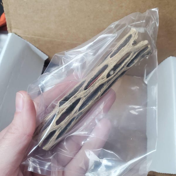 BUY 2 GET 1 FREE Cholla Wood Sticks Cholla Drift Wood Beautiful ...
