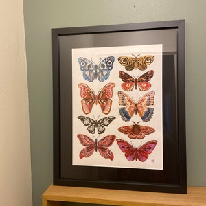 Butterflies & Moth Art Print, Handmade Decor,insect Print, Vintage ...