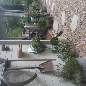 Antique Primitive 19th Century Oak Piggin Bucket With Handle - Etsy UK