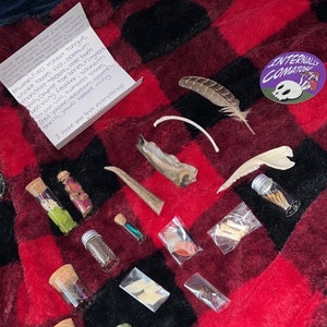 Curiosities Mystery Box, Curio Cabinet Starter Collection, Oddities and ...