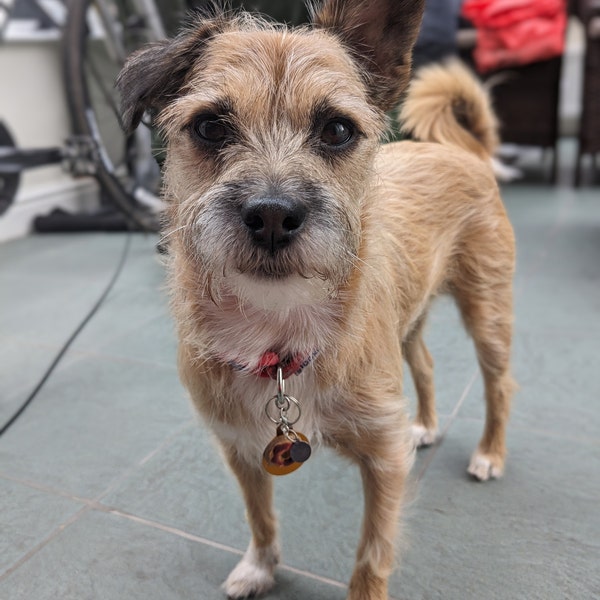 Hummus Bagel Charm , Miniature Food Jewellery , Polymer Clay Keyring ...