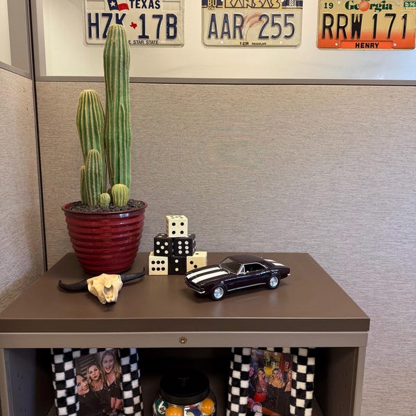 REALLY CRAPPY Set of 10 Authentic License Plates - Worn Out, Banged Up ...