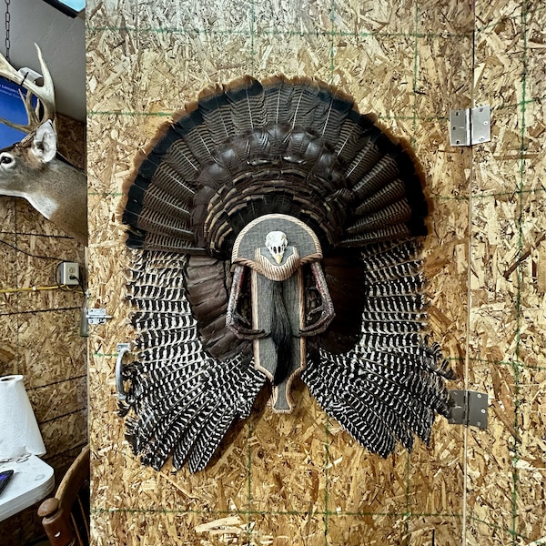 Barn Wood Box Call Turkey Plaque With Skull Plate - Etsy