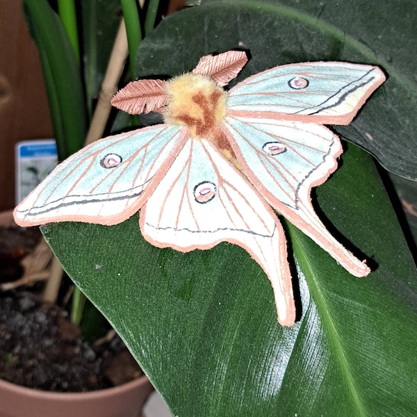 Peach Blossom Moth, Needle Felted, Moth Figurine, Decoration, Handmade ...