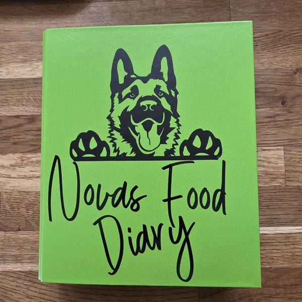 Eminem Slim Shady Silhouette WHITE Car Sticker - Bumper Window Vinyl ...