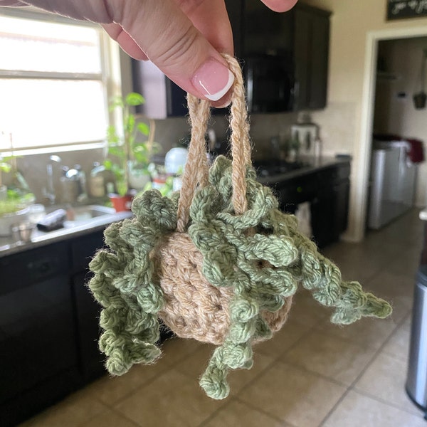 Car Fern Crochet PATTERN by Pamelambie Car Plant - Etsy