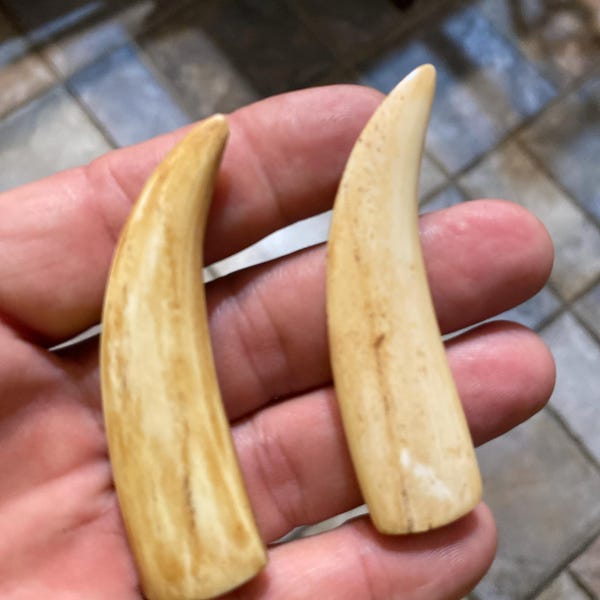 Large Antique Looking Hand Carved Tusk , Double-sided, Not-drilled ...