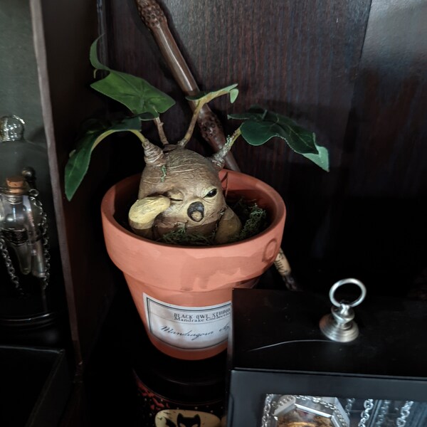 Mandrake With Pot - Hand Painted - Etsy