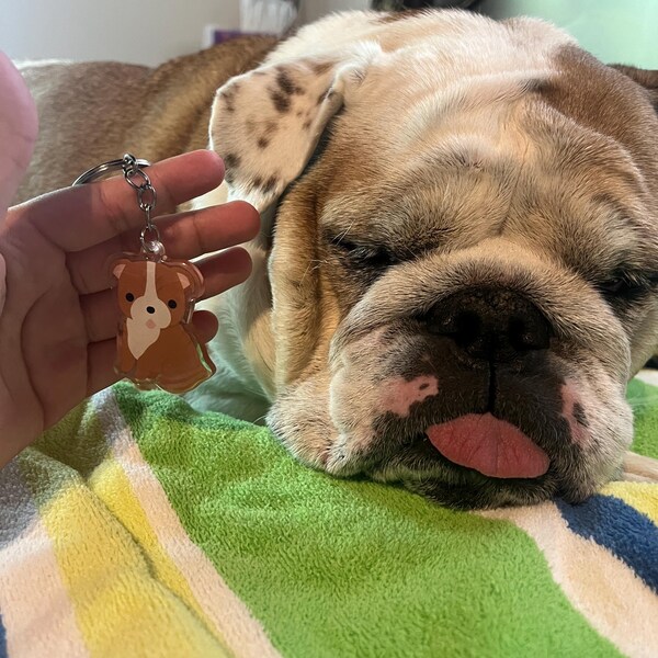 White Arctic Fox Acrylic Glitter Keychain | Kawaii Chibi Wild Animal ...