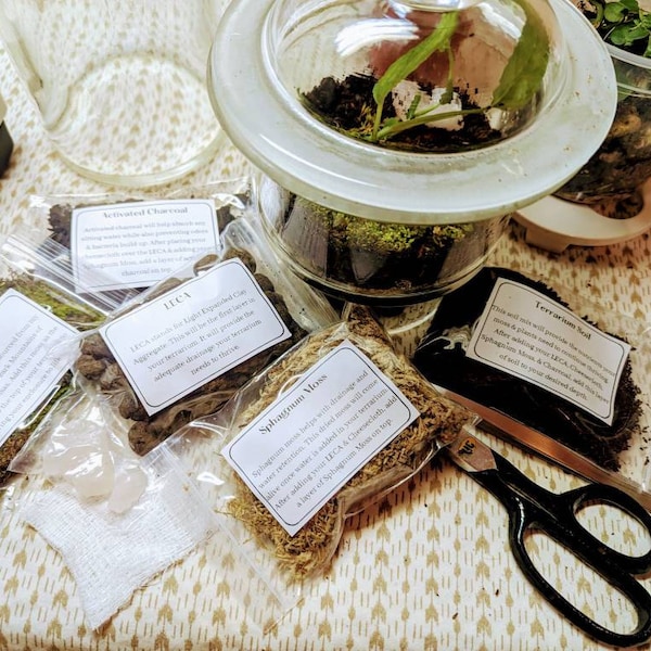 Build Your Own Terrarium Kit | Plant Gift Idea - Etsy