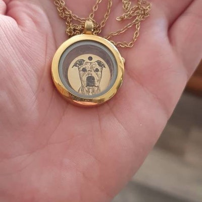 Custom Pet Fur Necklace Pet Fur Locket Necklace Dog Hair Memorial ...