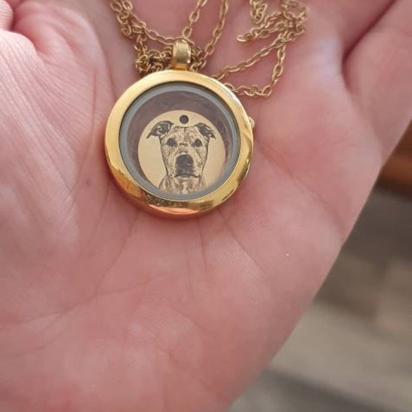 Custom Pet Fur Necklace Pet Fur Locket Necklace Dog Hair Memorial ...