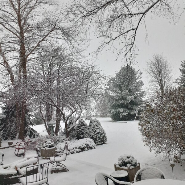 Engraved Letter R, Times New Roman Font, Wood Wall Art, Wood Decor - Etsy