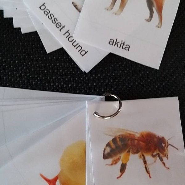 FARM ANIMALS • 22 Editable Montessori Cards • Flash Cards Nomenclature ...