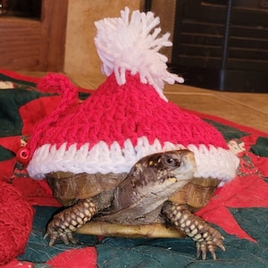 Tortoise Sweaters Pet Costume Turtle Sweater Cute Animals | Etsy