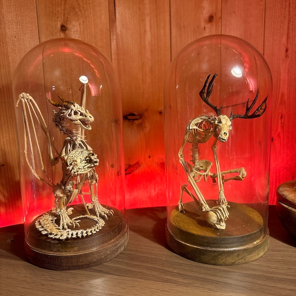 Eastern Dragon Skeleton, Curiosity Cabinet - Etsy