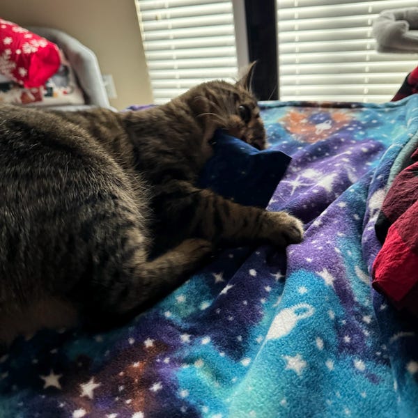 Cat Blankets NEW CHOICES!!! Small Cat Blanket, Cat Gift, Kitten Blanket ...