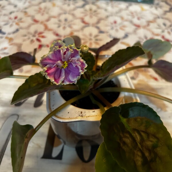 Decoupage A4 Image Rice or Washi Paper Free Shipping Moose - Etsy