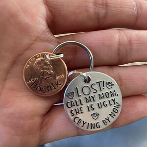 Hand Stamped Personalized Penny Pet ID Tag, Custom Funny Pet ...
