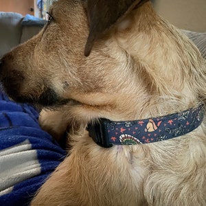 Demodog Demogorgon Stranger Things Inspired Embroidered Dog | Etsy