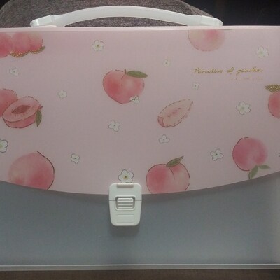 Cute Pink Peach File Folder 13 Pocket Folder Decorative Document Keeper ...