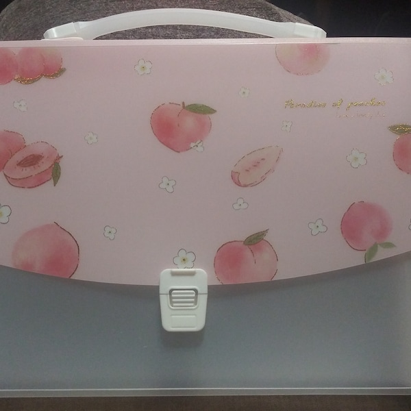 Cute Pink Peach File Folder 13 Pocket Folder Decorative Document Keeper ...