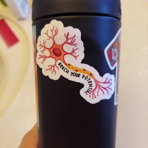Neuron Potential Medical Sticker Science Sticker Medical Office Decor ...