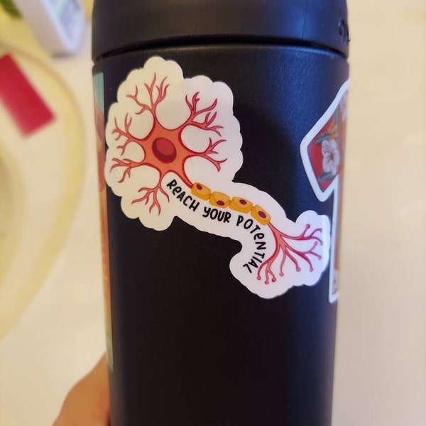 Neuron Potential Medical Sticker - Science Sticker - Medical Office ...