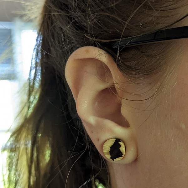 Pair of Unique Natural Plugs, Gauges 00, Plugs and Tunnels, 00 Gauges ...