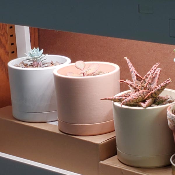 3" Mini Planters With Drainage Hole & Saucers | Small Cactus Planter ...