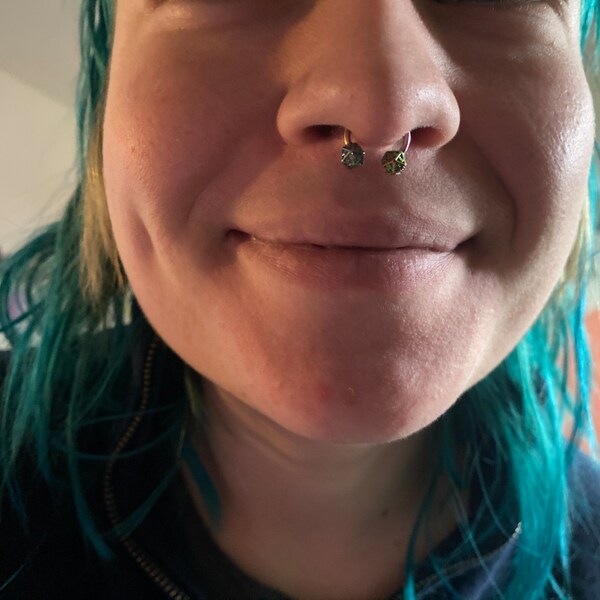 16G DND Dice Internally Threaded Septum Ring/horseshoe Ring/d20 Septum ...