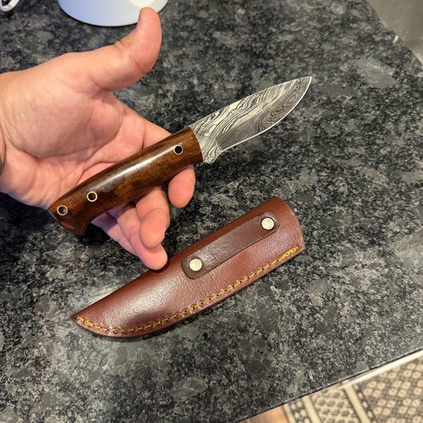 Hand Forge Bushcraft Knife With Sheath | Rosewood Fixed Blade Custom Knife | Hunting Knife ...