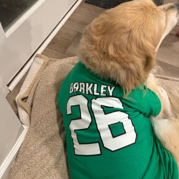 Saquon Barkley Hurdle Backwards Jump T Shirt, Kelly Green Jersey ...