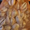 5 to 100 Pieces Clearance Sale Open Back Shells Real Ring Tops Cowrie ...